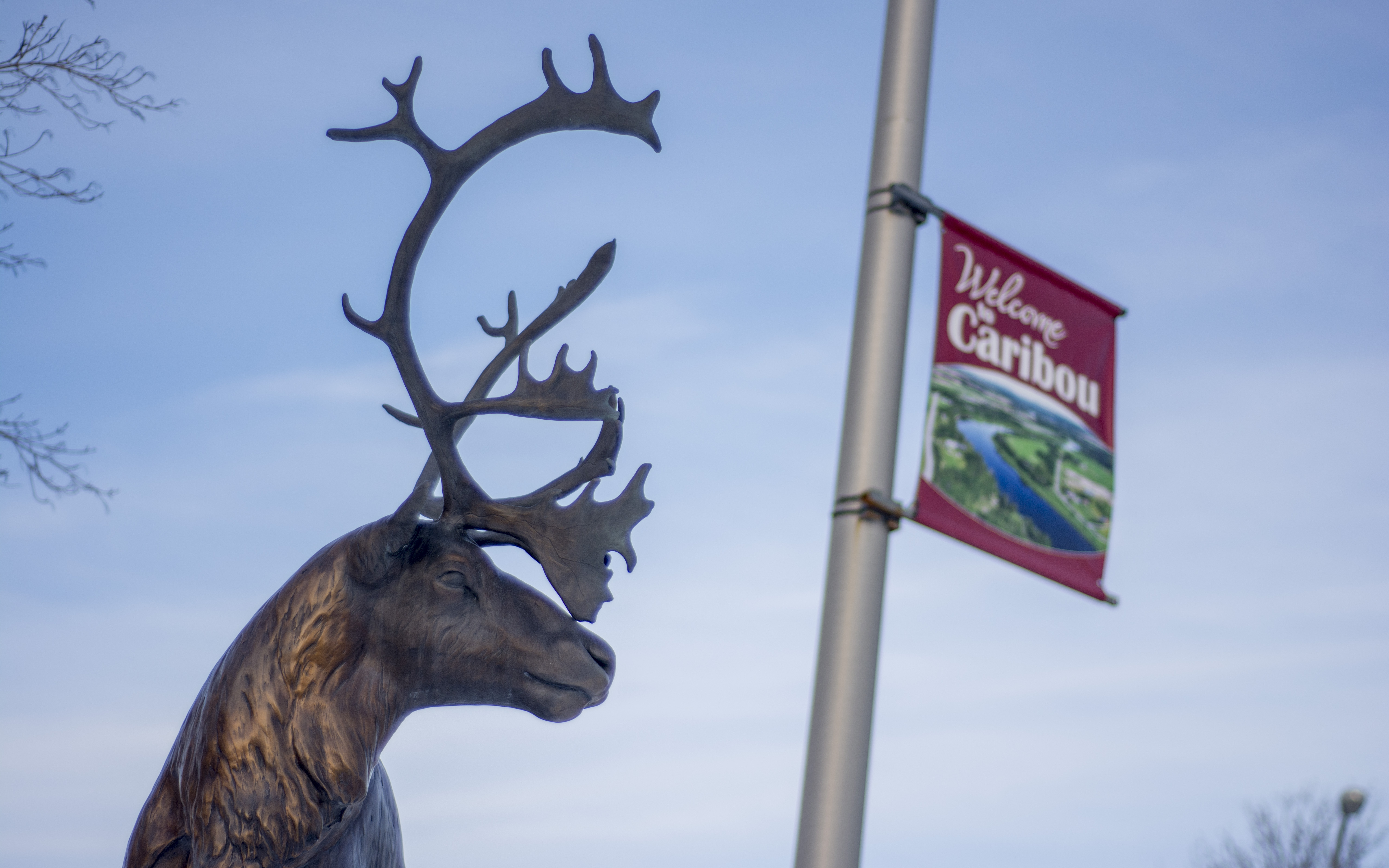 Caribou area 2018 Year in Review - The County