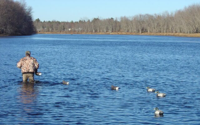 How to make the most of duck hunting season - The County