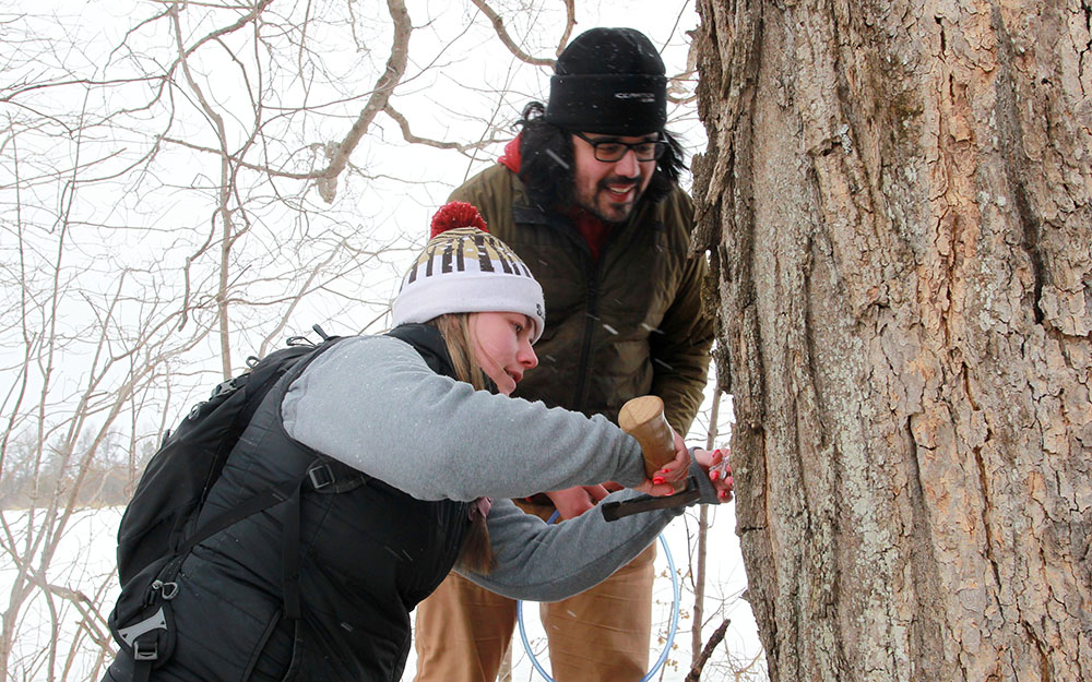 High school students learn to tap trees - The County