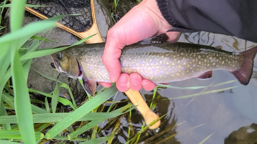 Aroostook River fishing is prime now - The County